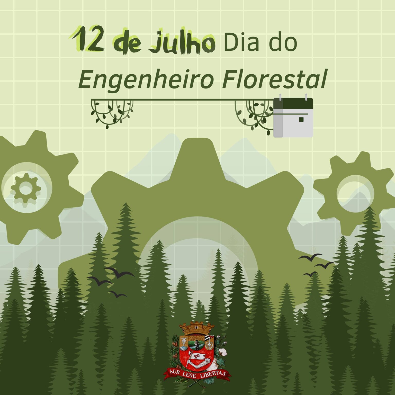 12 DE JULHO DIA DO ENGENHEIRO FLORESTAL | portalk.com.br